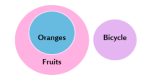 Venn Diagram: Simple and Multiple Uses of Argument Validity