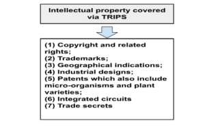 Trade Agreements, Agriculture Agreements, GATS, TRIPS, TRIMS