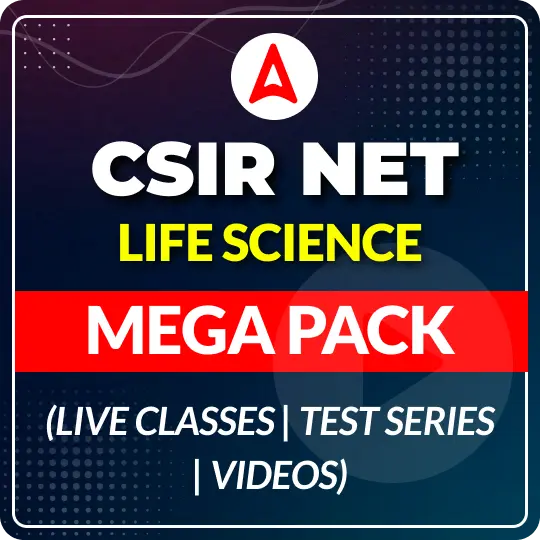 How To Prepare For CSIR NET Exam 2025 Easy Tips And Strategy How To Prepare For CSIR NET Exam 2025 Easy Tips And Strategy