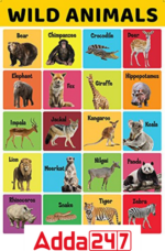 100 Wild Animals Names in English with Pictures