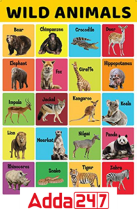 100 Wild Animals Names in English with Pictures