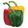 100 Vegetables Name in English with Pictures