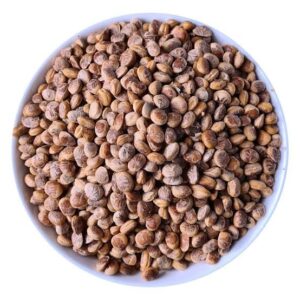 All Dry Fruits Names with List in English and Hindi
