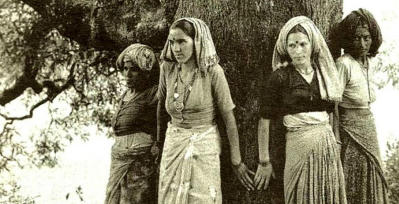 Chipko Movement in India- Chipko Andolan Year, Purpose, Objective