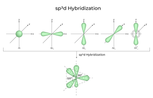 sp, sp2, sp3 Hybridization Examples, sp3d2 Shape & Structure