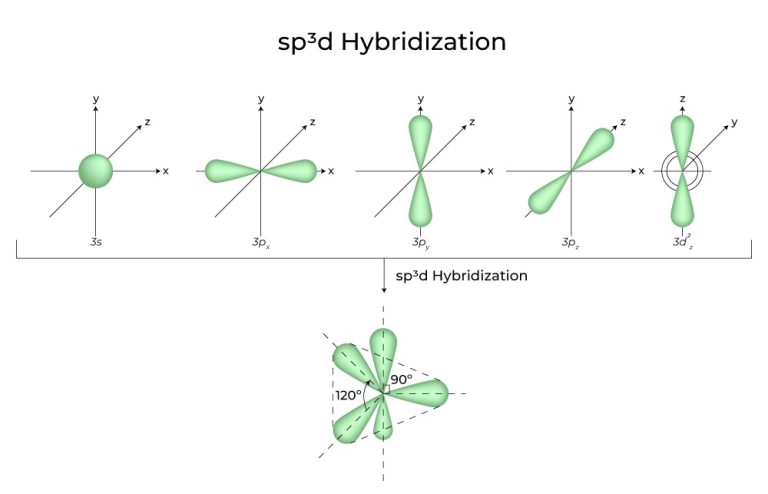 sp, sp2, sp3 Hybridization Examples, sp3d2 Shape & Structure
