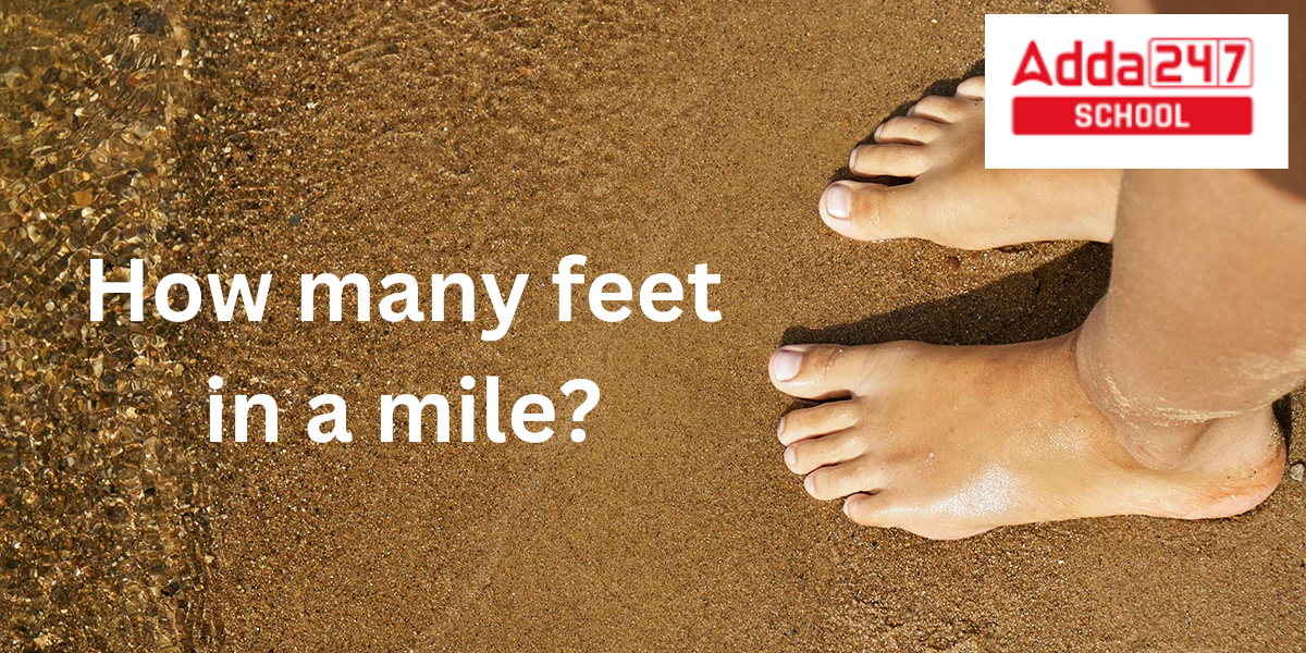 How Many Feet In A Mile How Many Feet In A Mile
