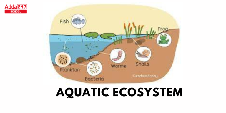 Types of Ecosystems, Diagram, Structure, Different Components