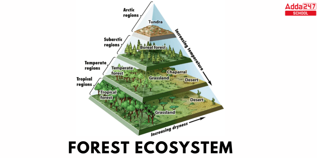 Types of Ecosystems, Diagram, Structure, Different Components