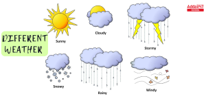 Difference Between Weather and Climate with Examples
