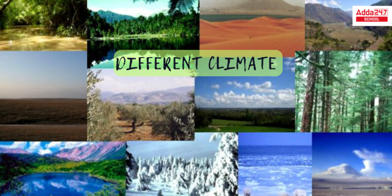 Difference Between Weather and Climate with Examples