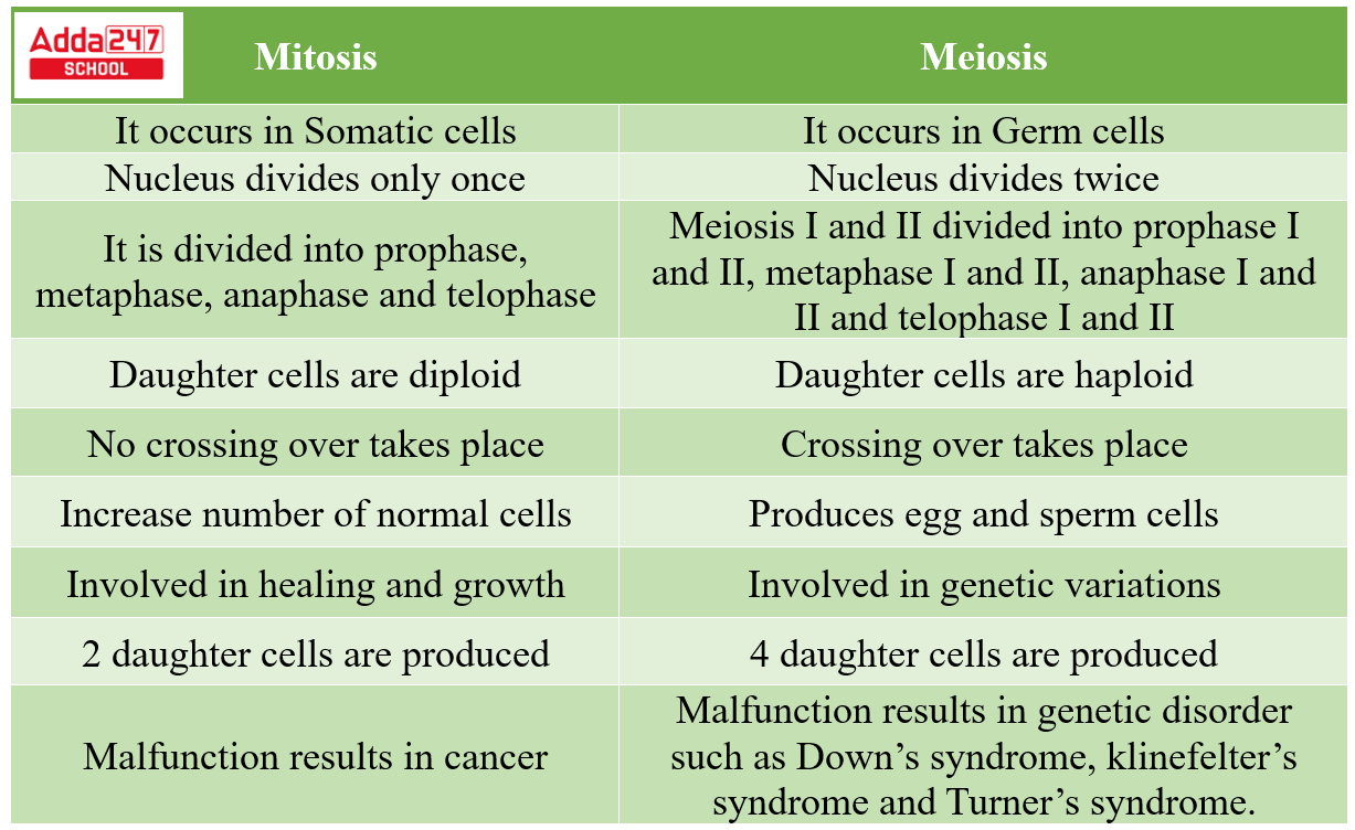 Difference between Mitosis and Meiosis- Check What is Mitosis and ... Difference between Mitosis and Meiosis- Check What is Mitosis and ...