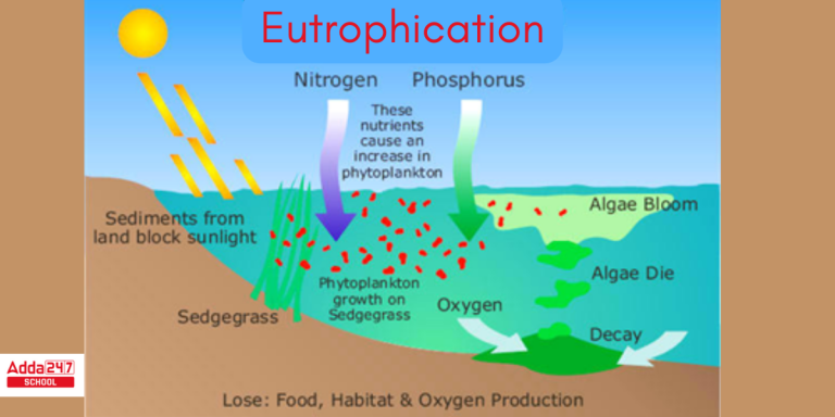 Eutrophication Meaning, Definition, Causes, Process, Diagram in Biology