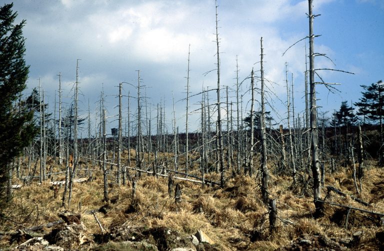 Acid Rain - Definition, Types, Causes, Effects, Examples