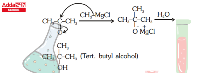 Grignard Reagent: Formula, Reaction, Preparation Mechanism