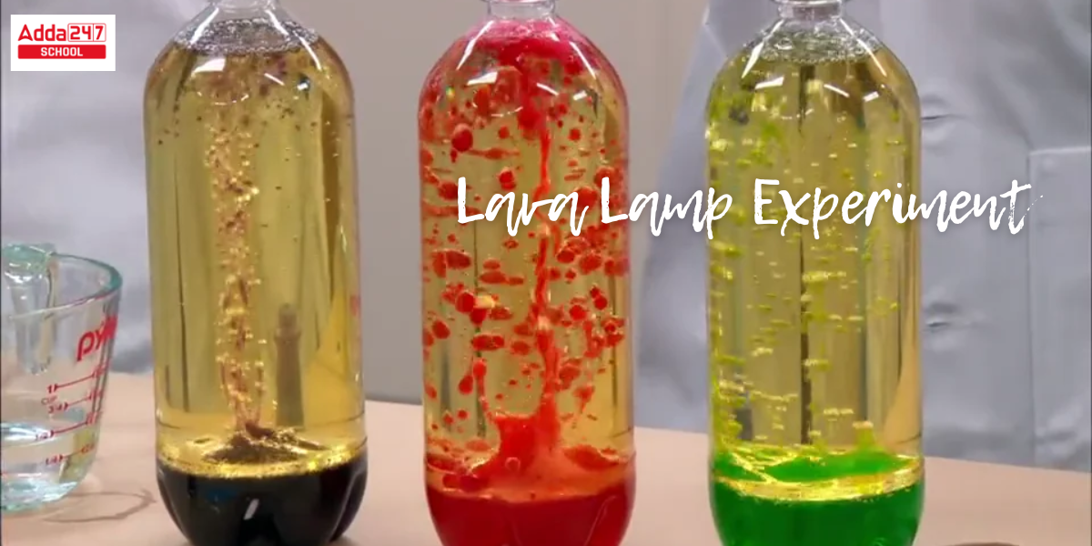 Lava Lamp Experiment Ingredients Aims Explanation For Kids