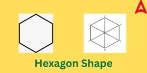 Hexagon- Definition, Types, Properties, Examples