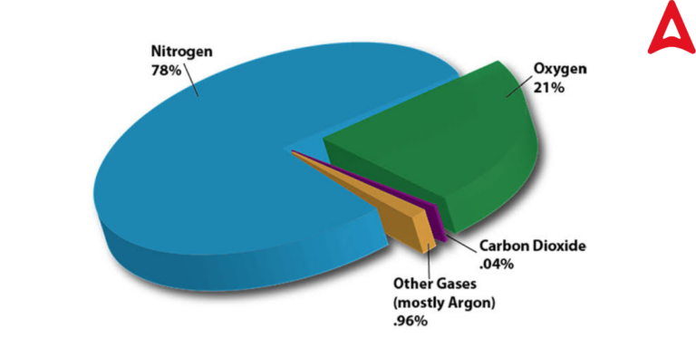 Components of Air: Their Percentages, Primary Component and Diagram