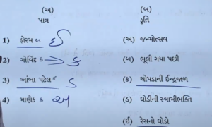 GSEB SSC Gujarati Question Paper 2024, Gujarati Answer Key PDF