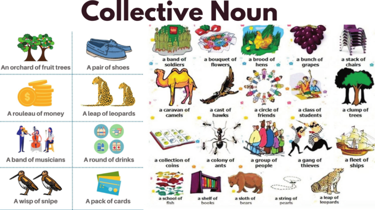Collective Noun: Definition, Examples and Usage