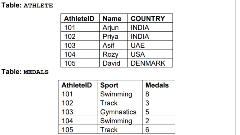 Class 12 IP Sample Paper 2024-25 with Solutions, Download PDF