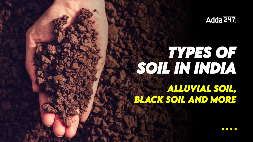 alluvial soil crops example