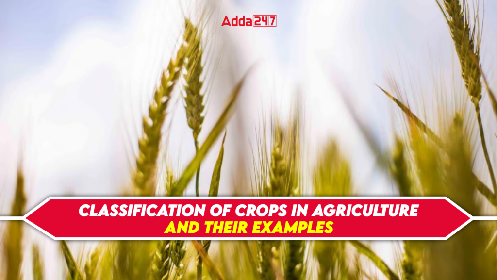 Classification of Crops In Agriculture and Their Examples