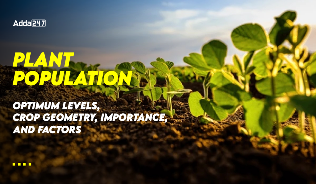 Plant Population: Optimum Levels, Crop Geometry, Importance, and Factors