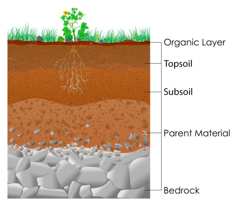 Soil types and their distributions, Classification of Soil in India