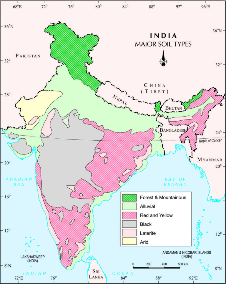 Soil types and their distributions, Classification of Soil in India